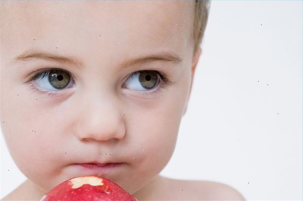 Hoe kan ik zelfgemaakte fase 1 babyvoeding maken – E2H